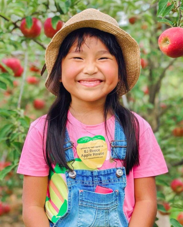 Discover the Perfect Fall Festival in 2024: The Georgia Apple Festival ...